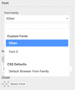 Custom Fonts - Page Builder Framework