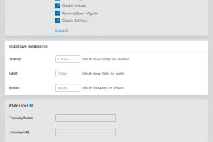 Premium Add-On - Page Builder Framework